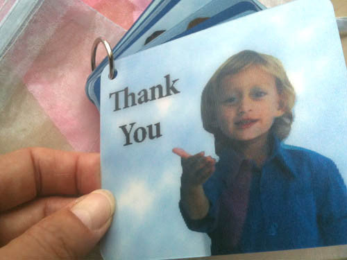 ASL First Signs Flash Cards – Say It In Sign